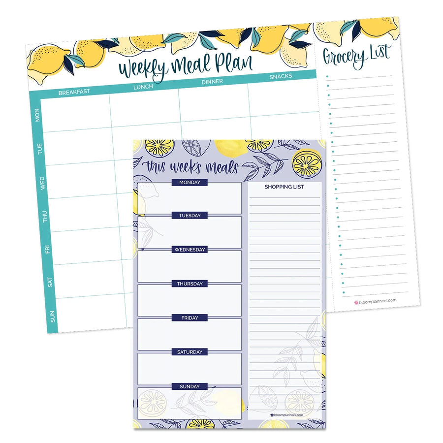 Save Big on bloom Bundles Seasonal Planners & Boxes – bloom daily planners